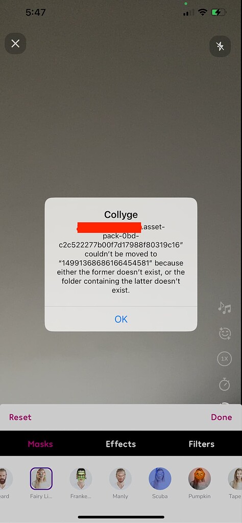 Error When Selecting A Deepar Asset Help And Questions Deepar Community Forum 