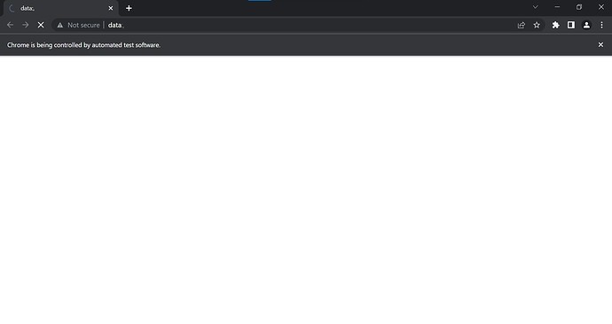 Blank/empty screenshot when WebUI.navigateToUrl() fails - Katalon ...