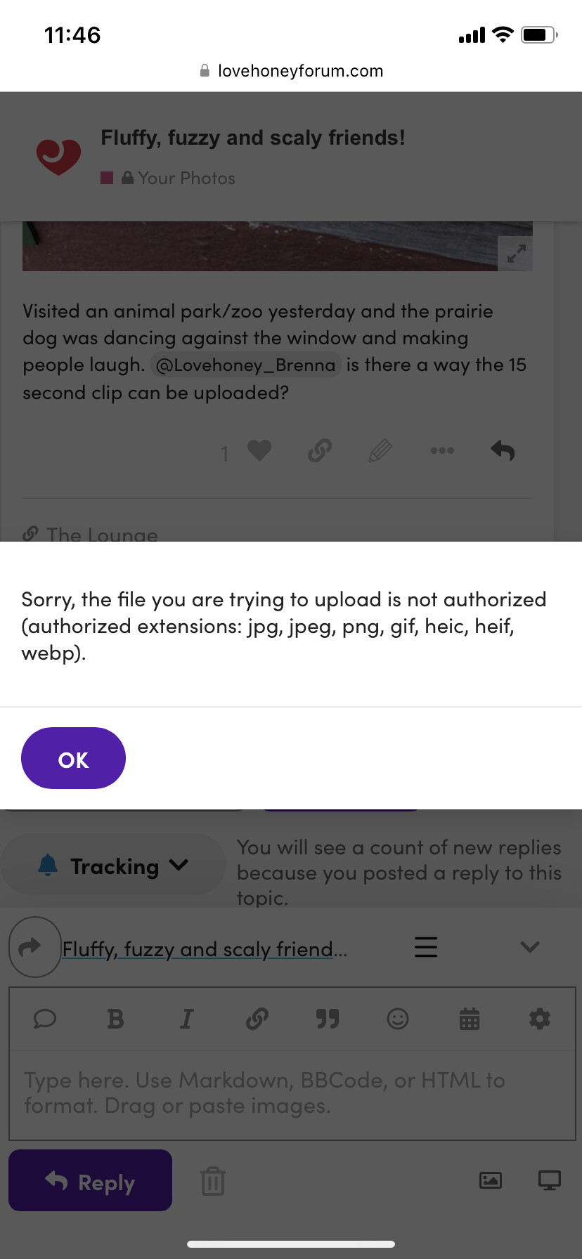 The Lounge - Off-Topic Chat - Lovehoney