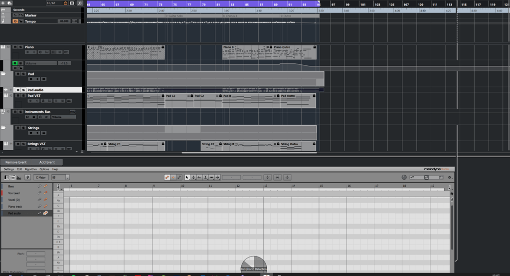 Issues with ARA and Melodyne (crashes and poorly rendering of Melodyne in lower zone) - Cubase ...