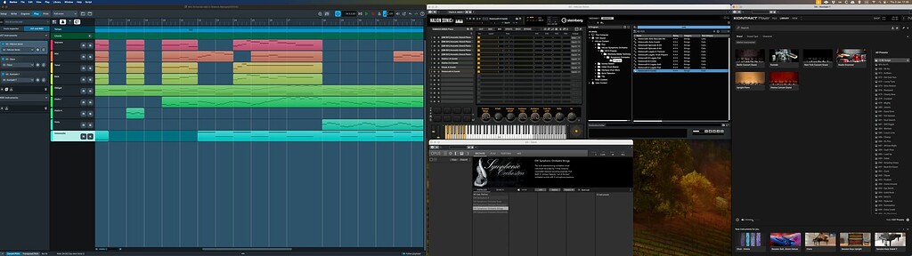 Using more than HAlion samples in Dorico - Dorico - Steinberg Forums