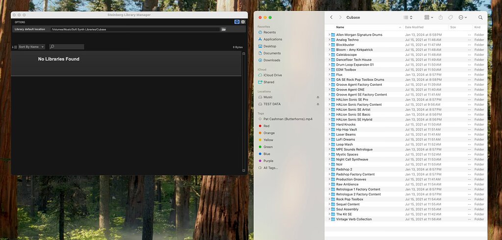 Install Cubase 13 Pro But Not The Libraries Cubase Steinberg Forums