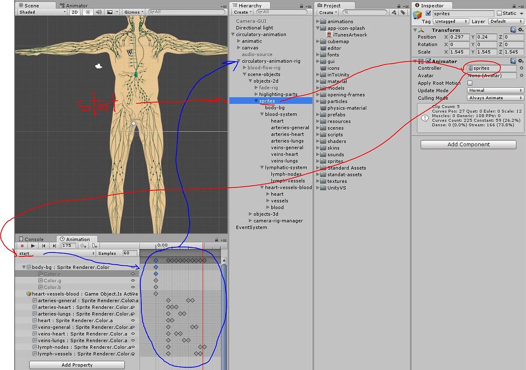 How to copy/paste animation keys from child to parent (animator) - Questions & Answers - Unity ...