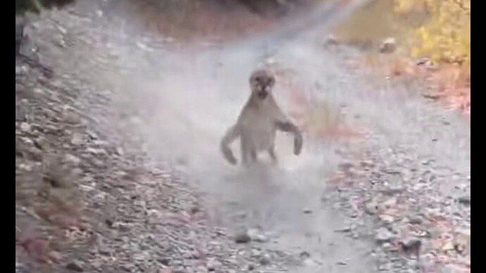 How do I make an object go to a certain position in Unity 2D? - Unity Engine - Unity Discussions