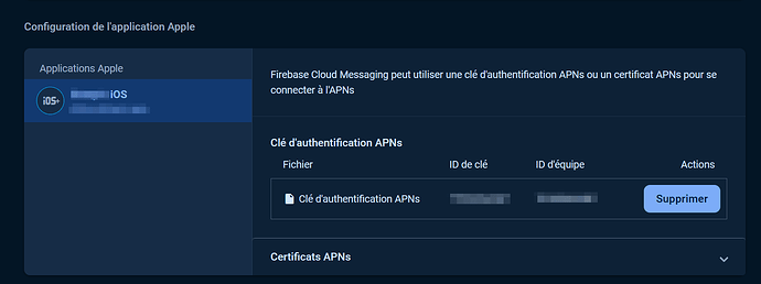 Firebase initializes, but no token received [Firebase SDK 8.0.0] - Unity Engine - Unity Discussions