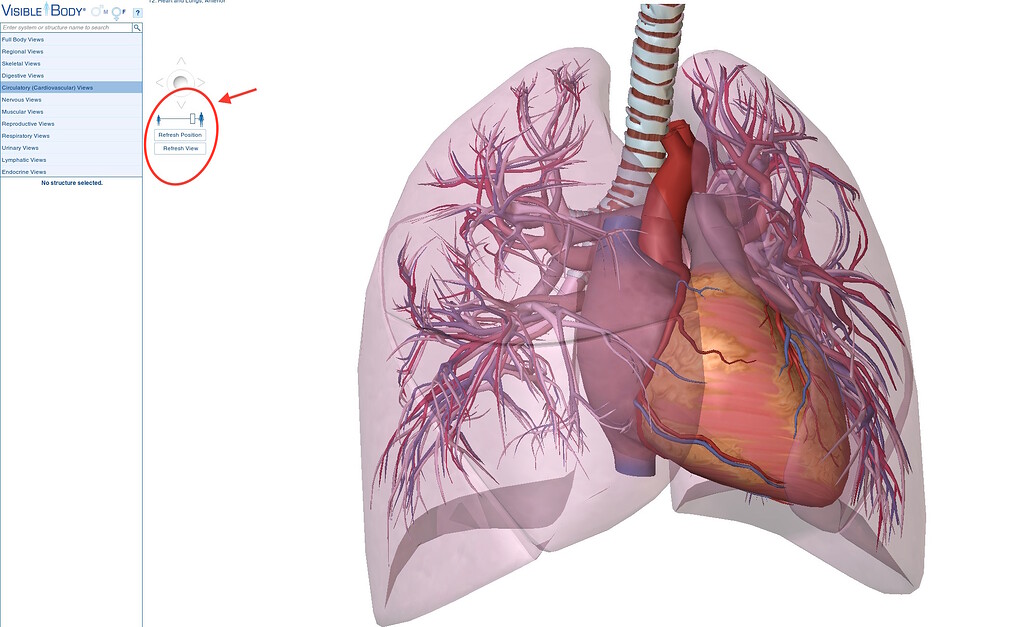 Zooming in and out with mouse scroll - Unity Engine - Unity Discussions
