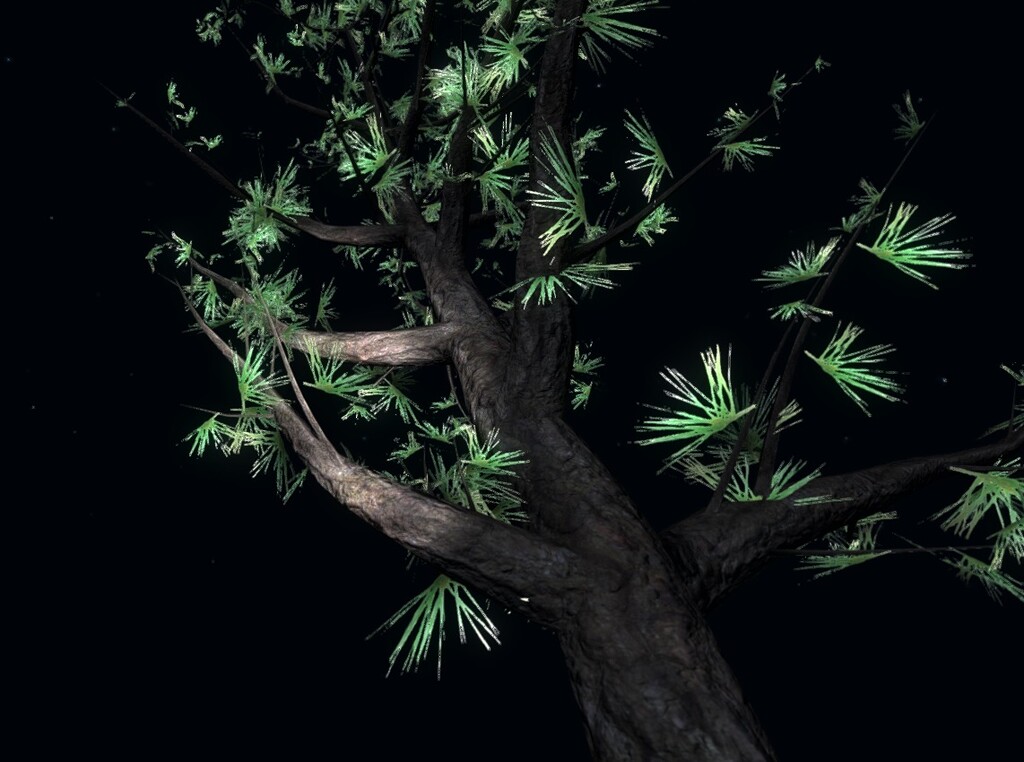 Why are tree leaves outside of range illuminated by spotlight ...