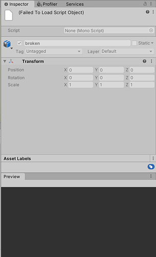 Asset Not Properly Imported And Says Failed To Load Script Object When Using Custom