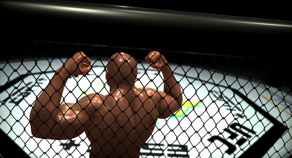 An MMA/UFC Game - Community Showcases - Unity Discussions