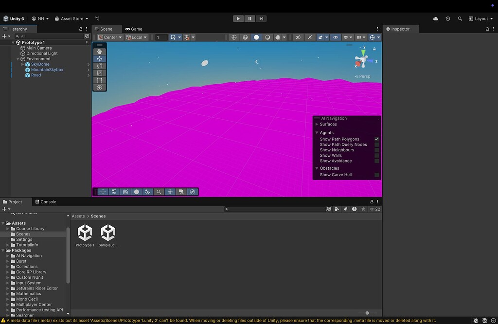 Junior programmer - Scene Appears Different After Importing Custom Package – Need Help - Getting ...