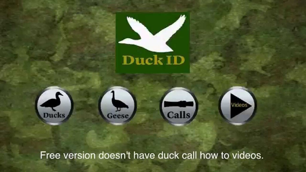 Duck ID - Community Showcases - Unity Discussions