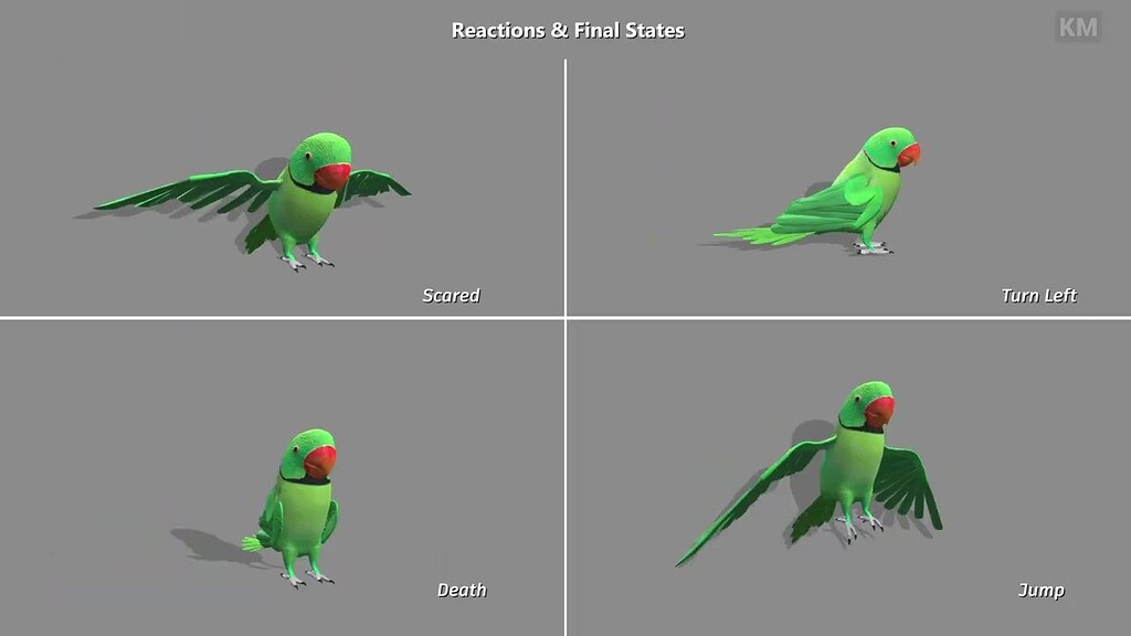 [RELEASED] Ultimate Parrot Animations & Skins Pack – Now Available with ...