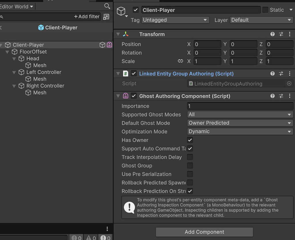 Netcode for Entities XR Rig Setup - Unity Engine - Unity Discussions