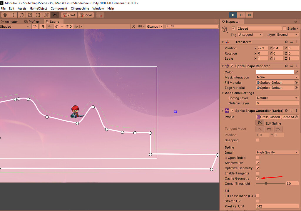 Sprite Shape disappearing on Play after checking Cache Geometry - Unity Engine - Unity Discussions