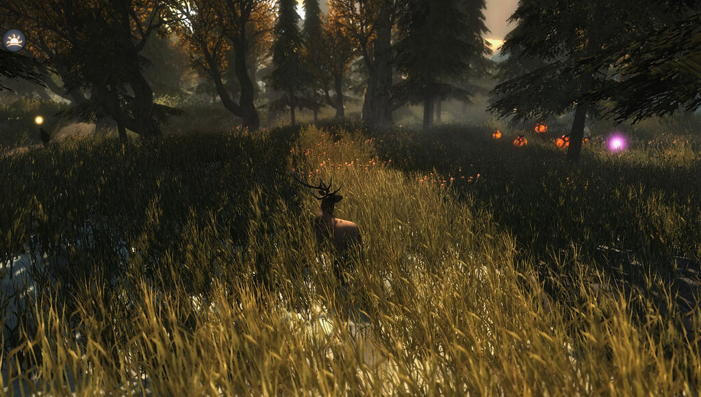 Unity Pro Perpetual to Unity Plus - Unity Engine - Unity Discussions