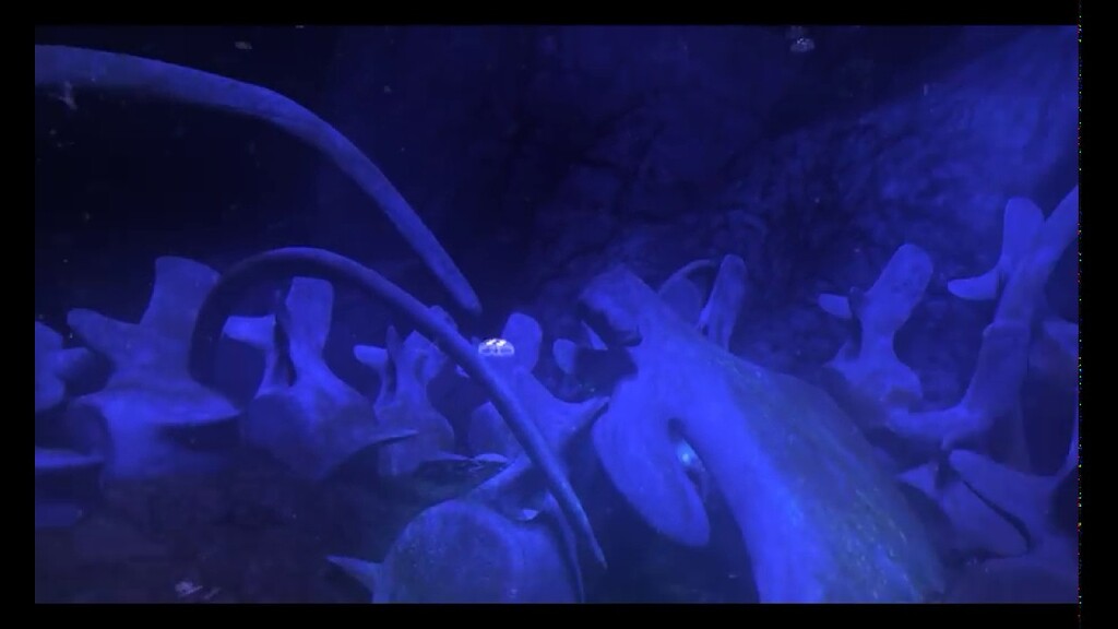 Looking for tips on Dying Light-style uv flashlight effect - Unity ...