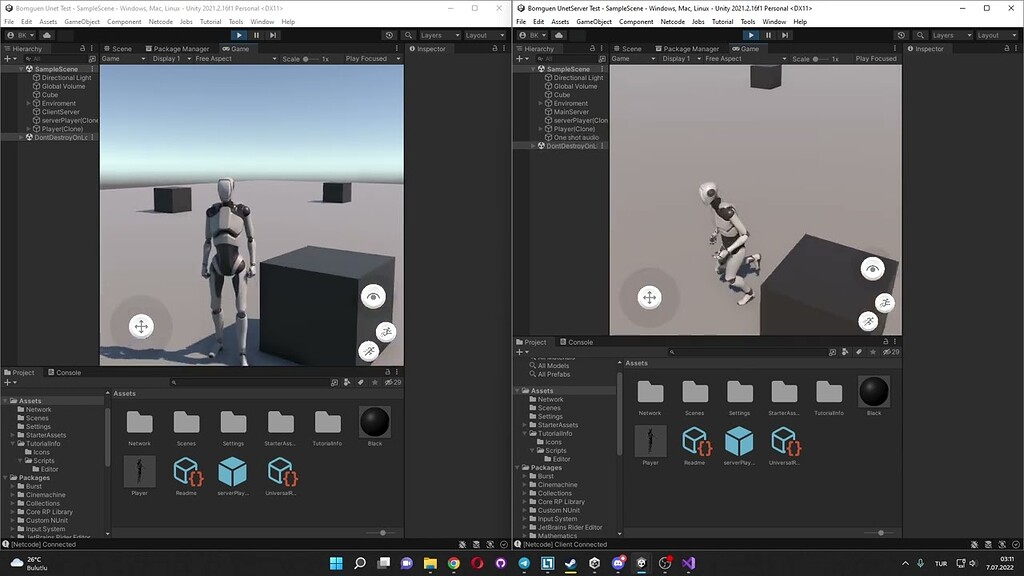 Netcode Character Just Controlled by Server - Unity Engine - Unity ...