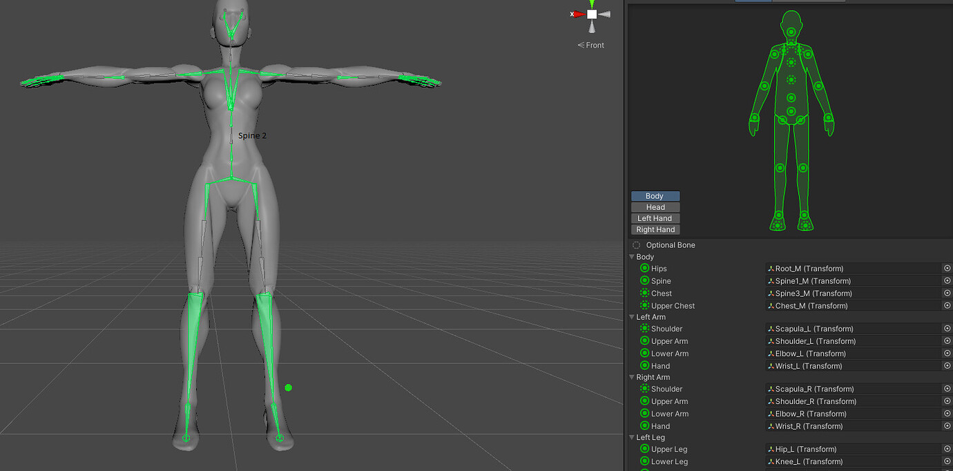 Ongoing humanoid issues in Animation Rigging - Unity Engine - Unity ...