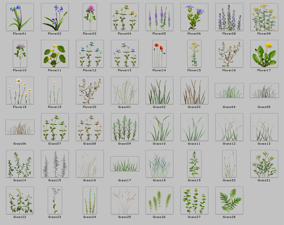 [Released]Realistic Grass Flowers Pack - Community Showcases - Unity ...