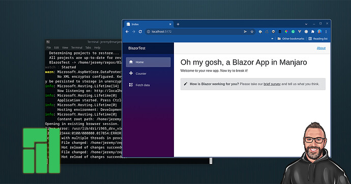 Installing VSCode Extensions from Flathub - Unity Engine - Unity Discussions