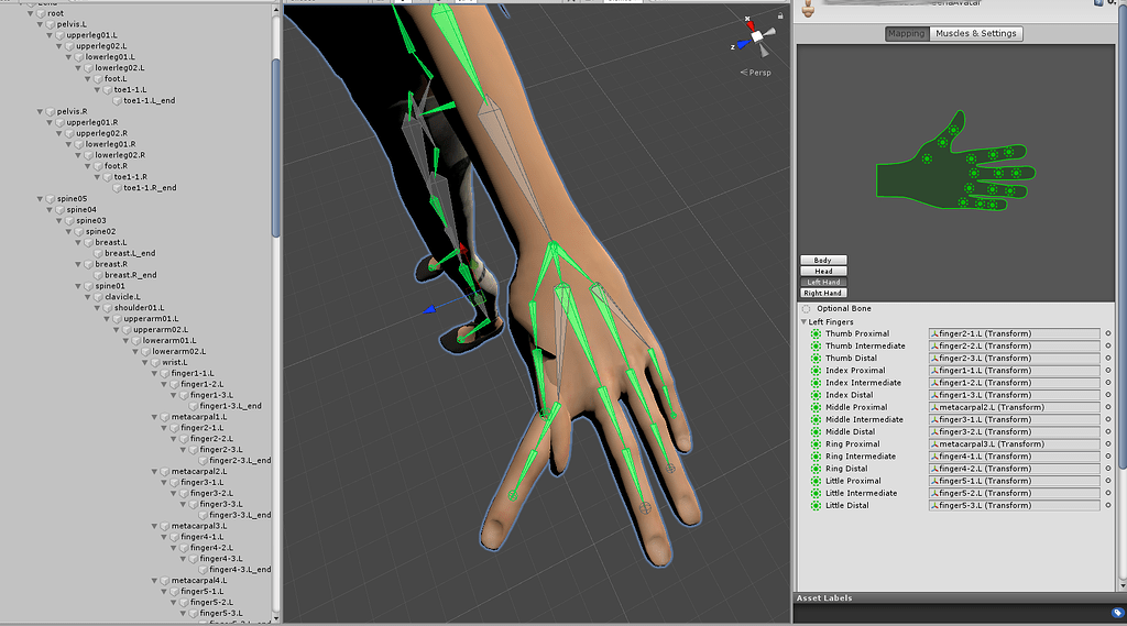 Assetpostprocessor Is Failing To Set Modelimporterhumandescription Mappings In Unity 2019