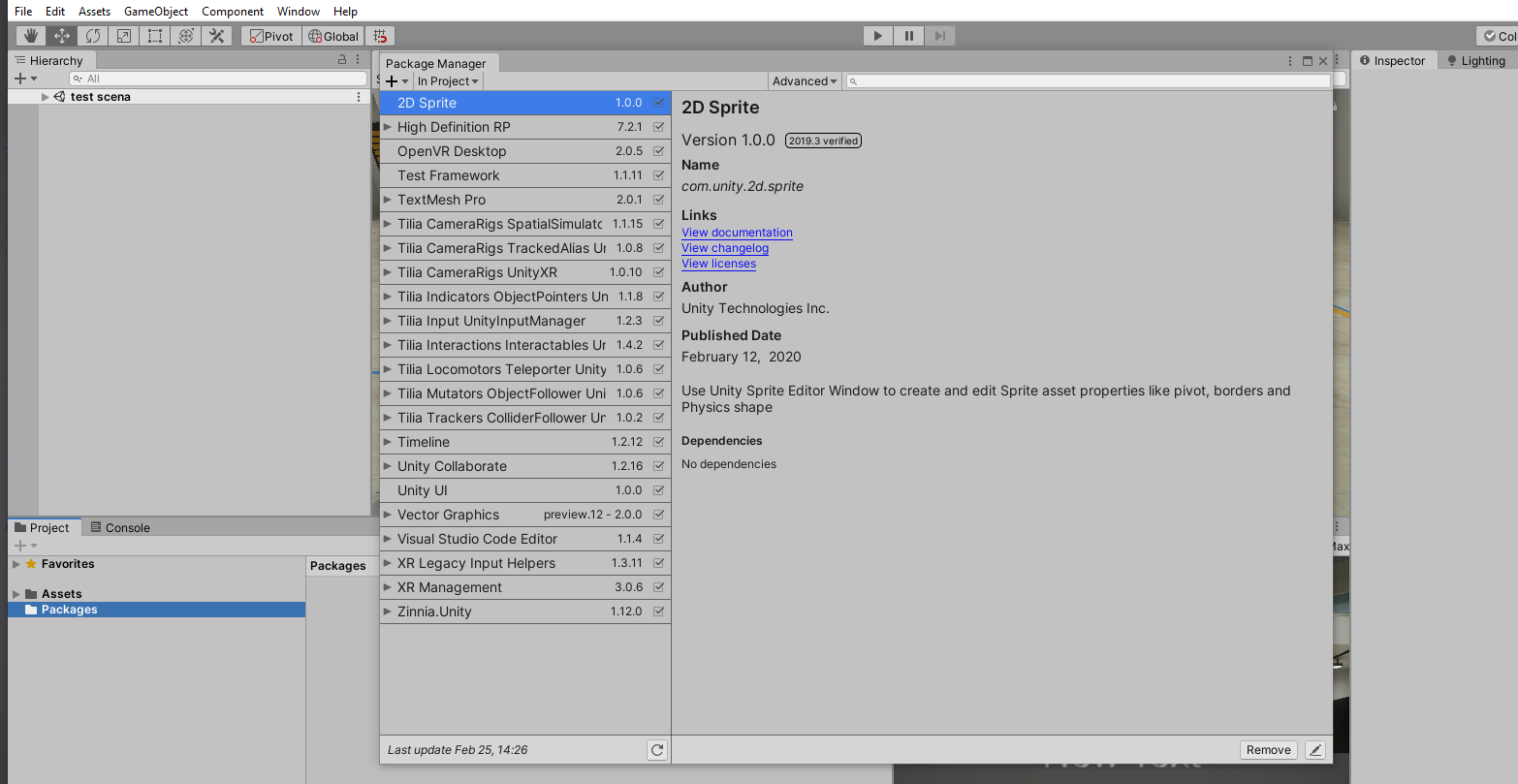 Not Visible Packages In Editor Unity Engine Unity Discussions 5861