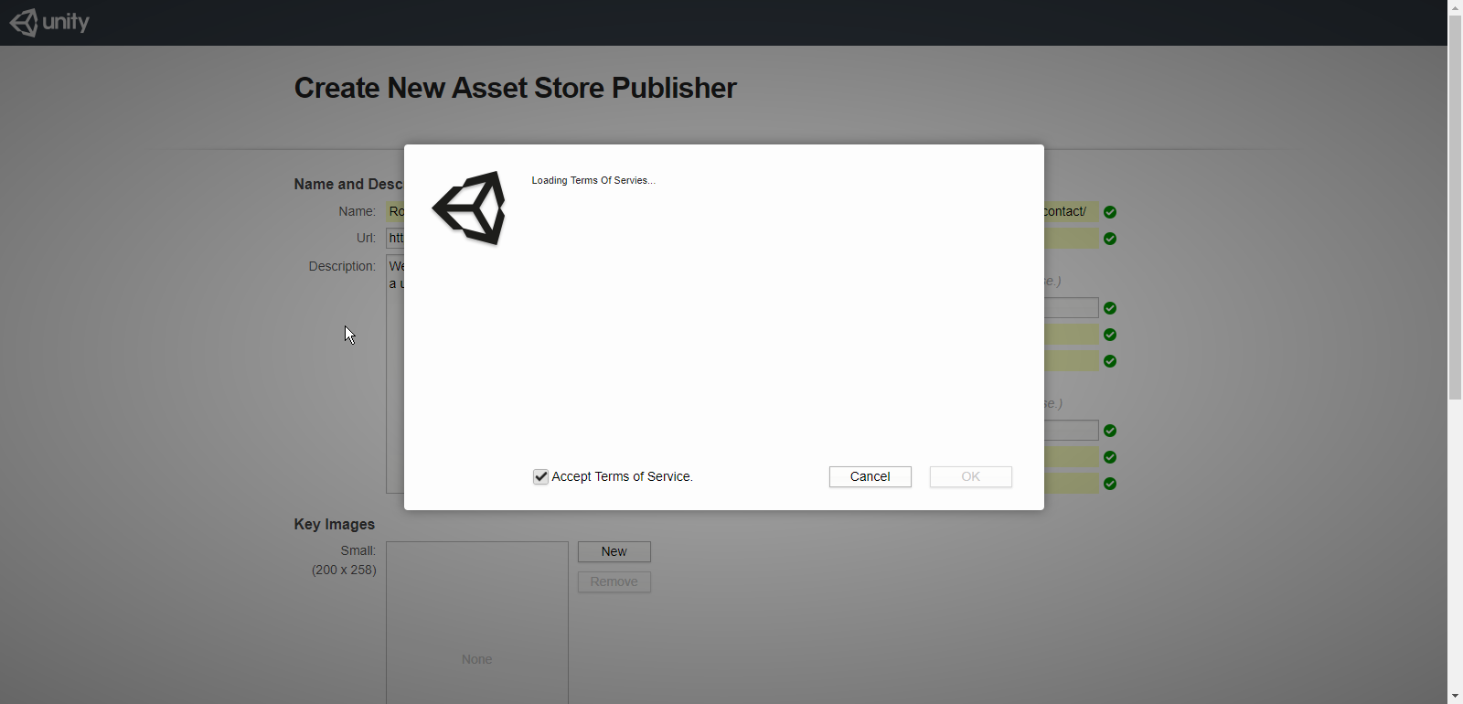 Unity Asset Store Publisher Form Error Unity Engine Unity Discussions