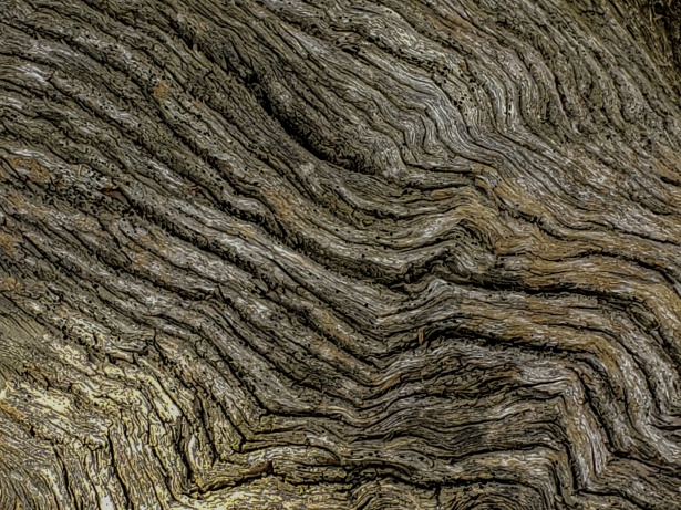 Texturing problem... - Unity Engine - Unity Discussions