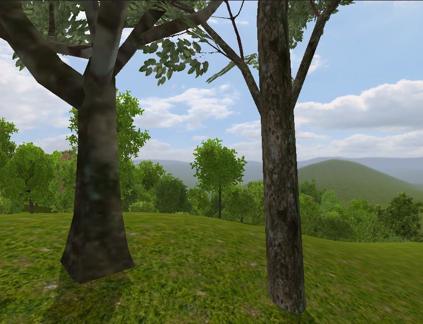problem with nature soft occlusion tree - Unity Engine - Unity Discussions problem with nature soft occlusion tree - Unity Engine - Unity Discussions