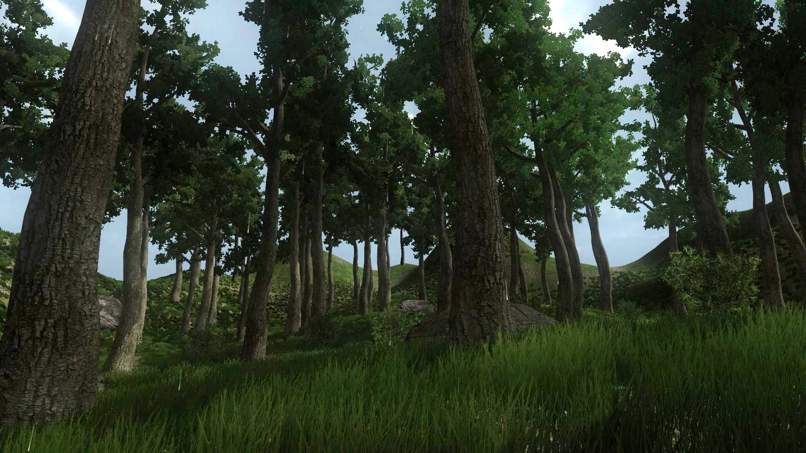 Real Trees, New Realistic SpeedTree Like Unity Trees Now Available! - Community Showcases ...