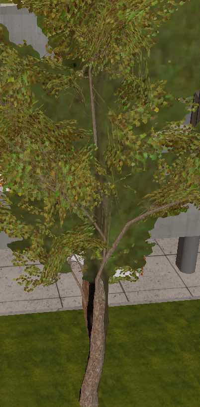 LOD Issues with Speedtree - Questions & Answers - Unity Discussions