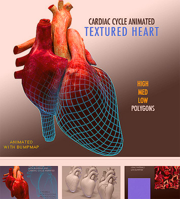 HUMAN HEART ANIMATION - Community Showcases - Unity Discussions
