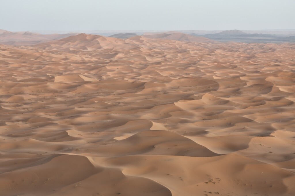 Texture distortion... - Unity Engine - Unity Discussions