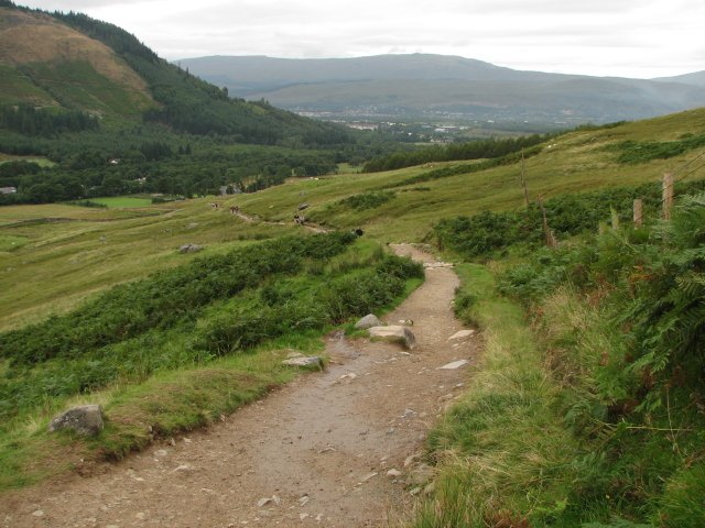 About the terrain editor and brush precision. - Unity Engine - Unity ...