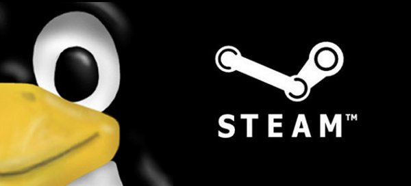 Valve Porting Steam/Source Engine to Linux - News & General Discussion ...