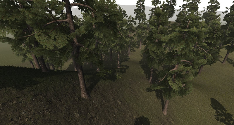 Advanced terrain shaders for groundplants, trees and paths - Community Showcases - Unity Discussions