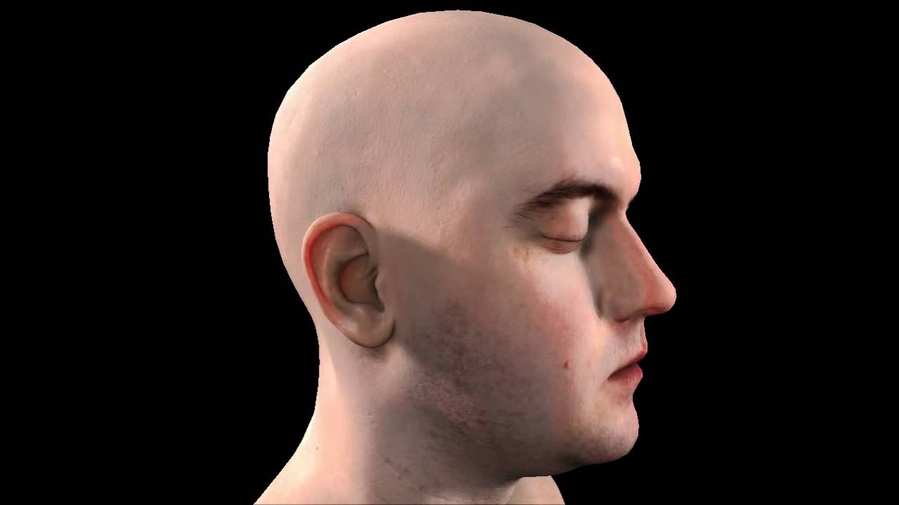 Gritty realistic skin shader - Unity Engine - Unity Discussions