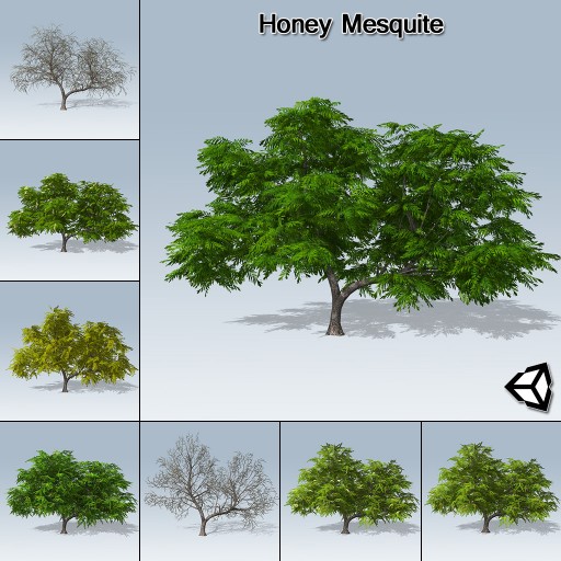 SpeedTree for Unity - Community Showcases - Unity Discussions