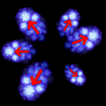 How to rotate 2d animated particles to direction? - Unity Engine - Unity Discussions