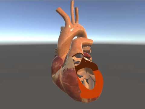 Slice Shader with vr - Unity Engine - Unity Discussions