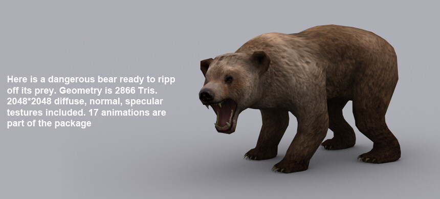 BEAR ( rigged,skinned and animated ) - Community Showcases - Unity ...