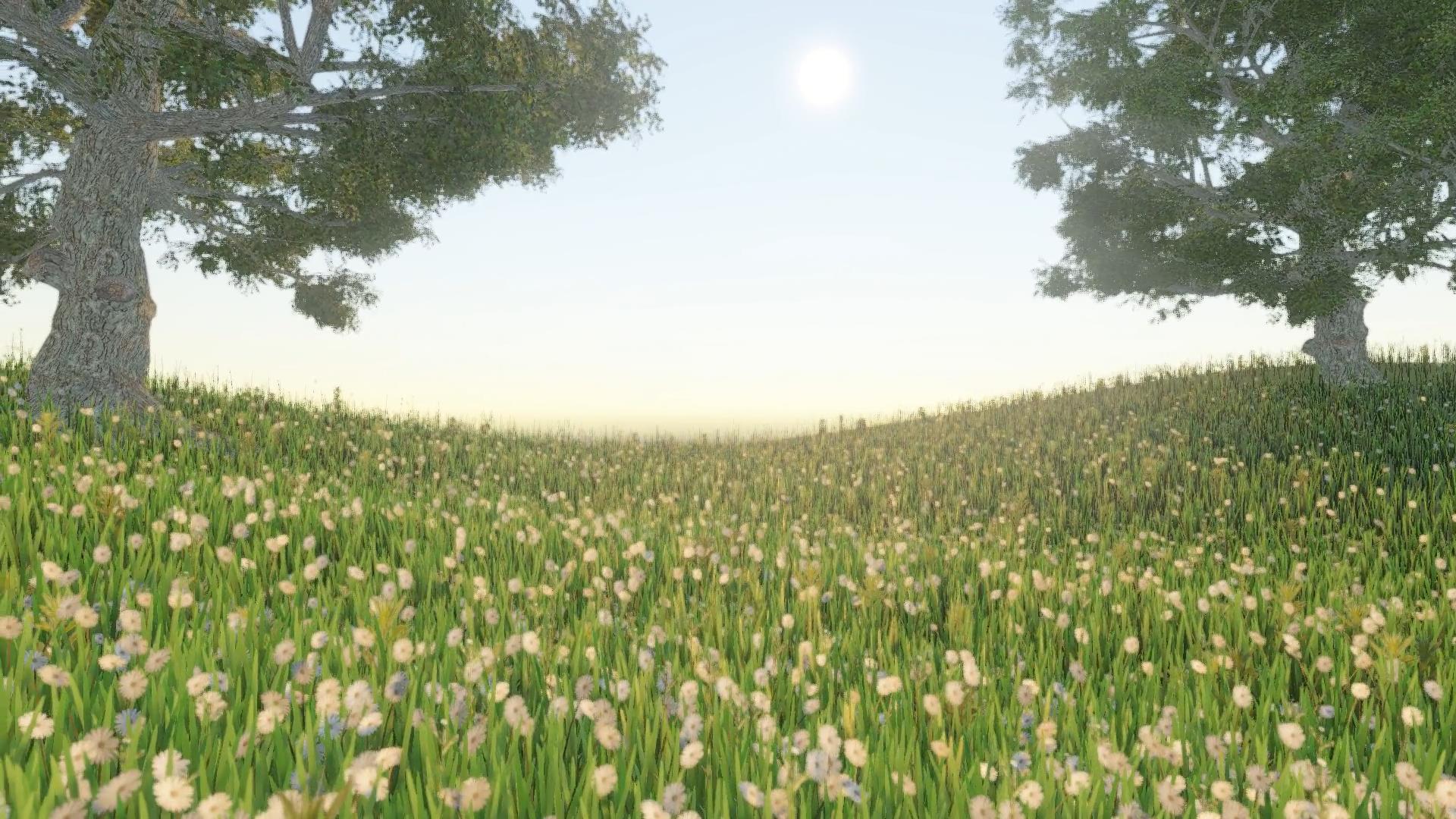 [RELEASED] DirectX 11 Grass Shader - Community Showcases - Unity Discussions