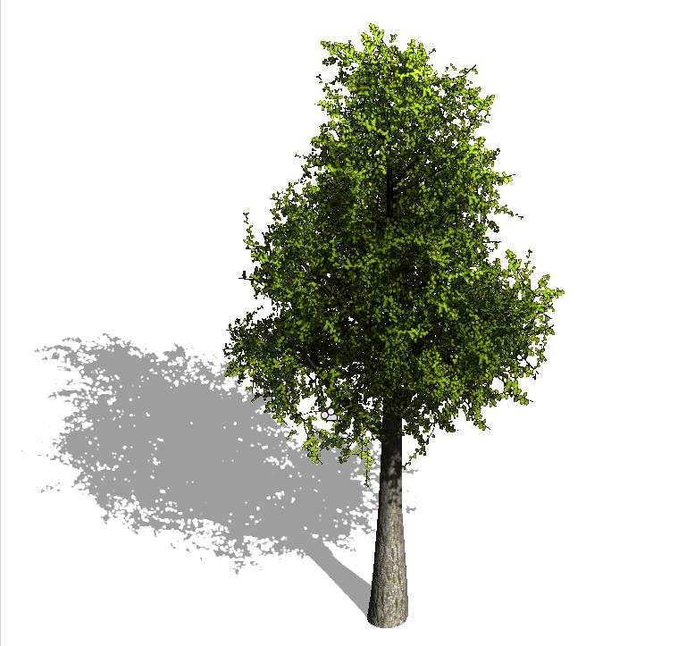 New Unity 3d Trees! A Huge Collection of Trees Like SpeedTree Trees ...