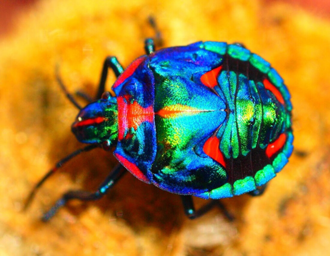 Unity 4.5.4 does not start! Help! - Unity Engine - Unity Discussions